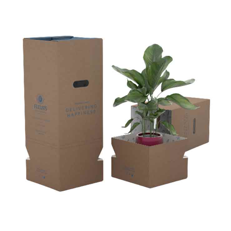 Plant Packaging | Plant Shipping Boxes | Horticulture Packaging ...
