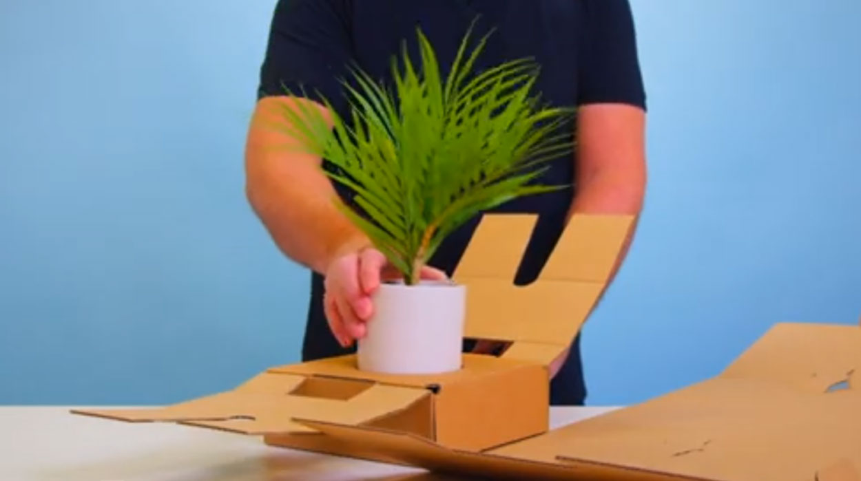 Plant Packaging | Plant Shipping Boxes | Horticulture Packaging ...